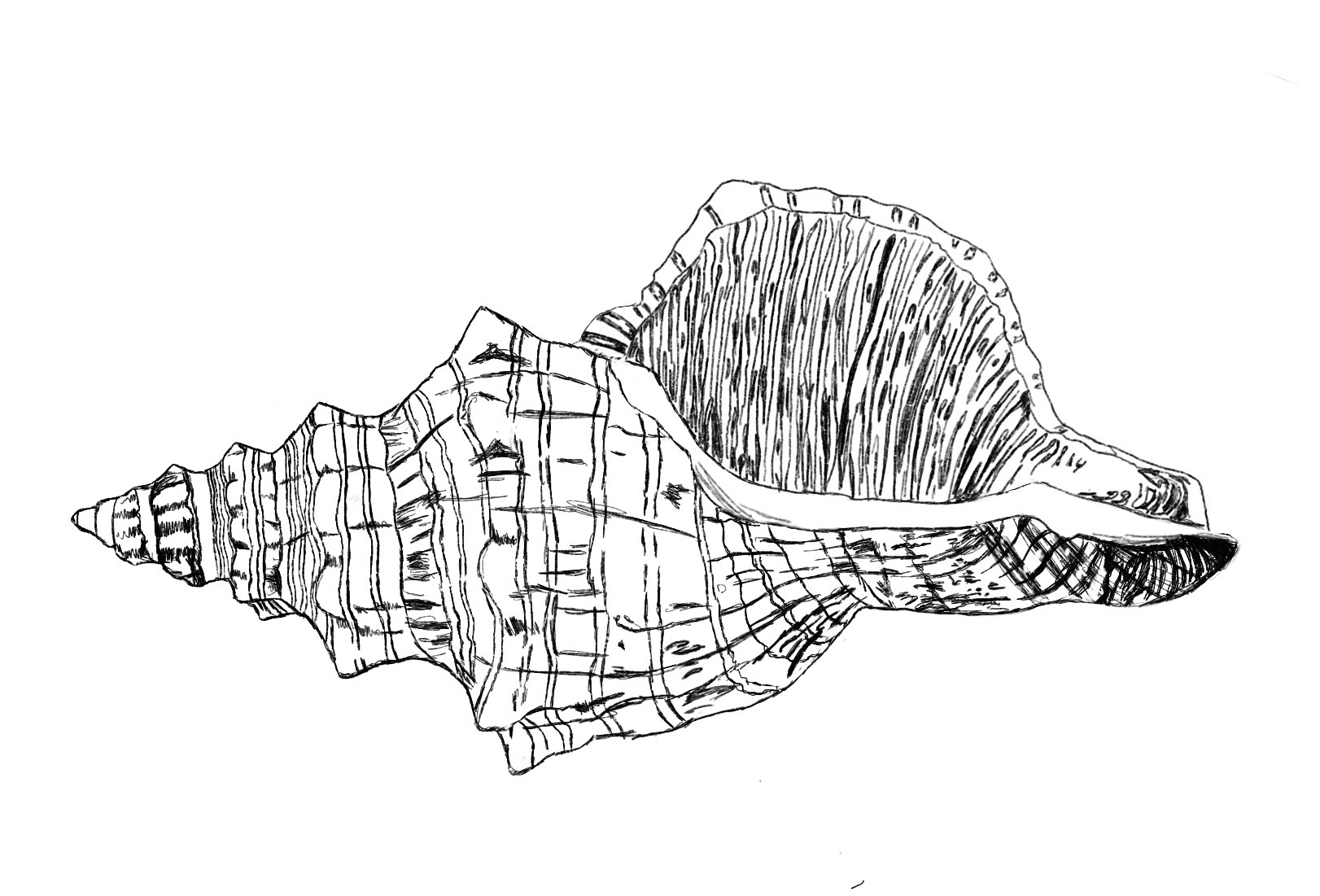 History Expansion bash - PowerCampus 01